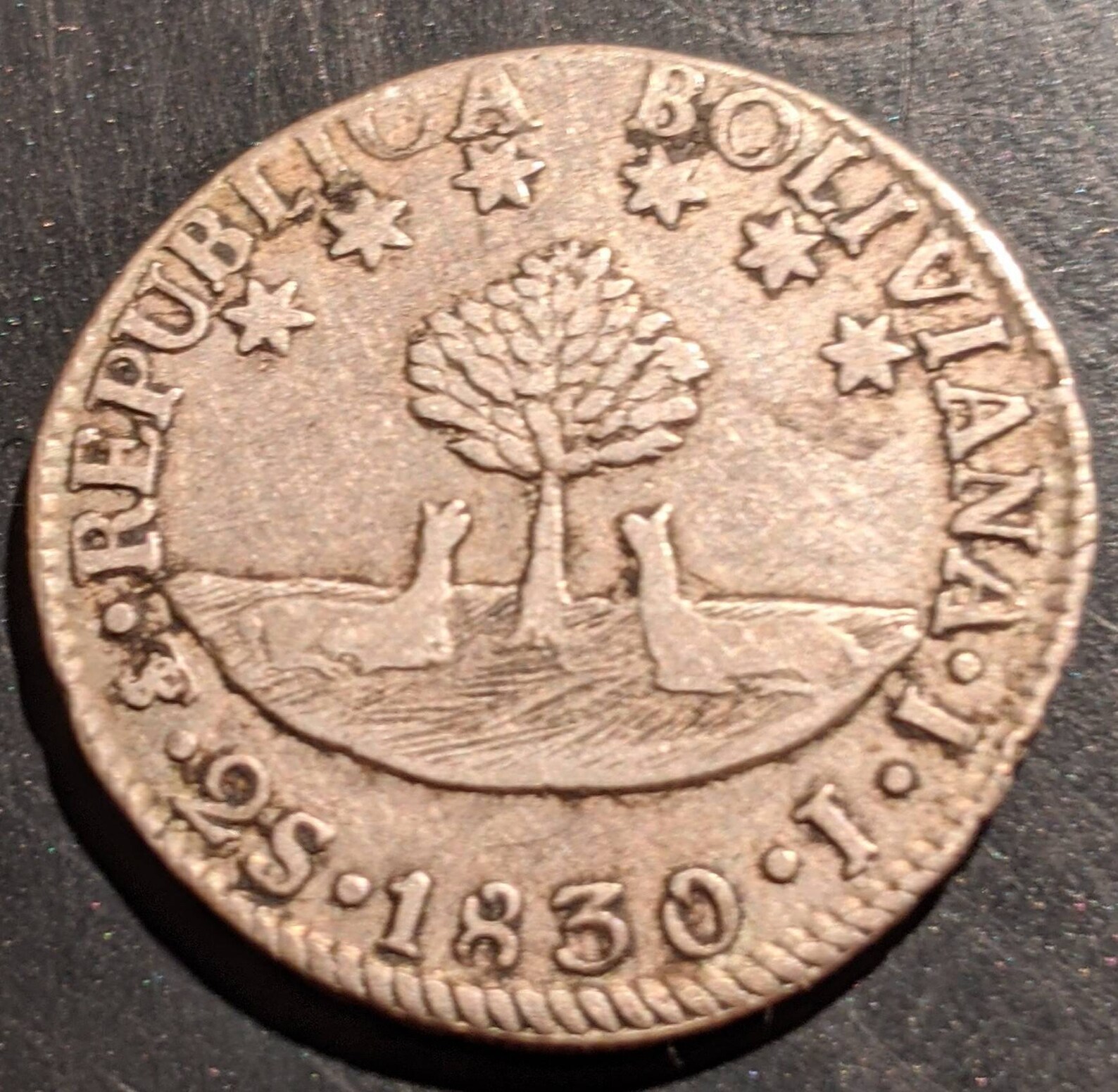 Scarce 1830 Bolivia 2 Two Soles Silver Old World Coin - Etsy