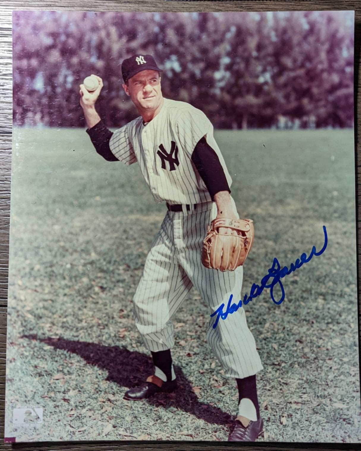 Bucky Dent Vintage New York Yankee Great Autographed Major League ...