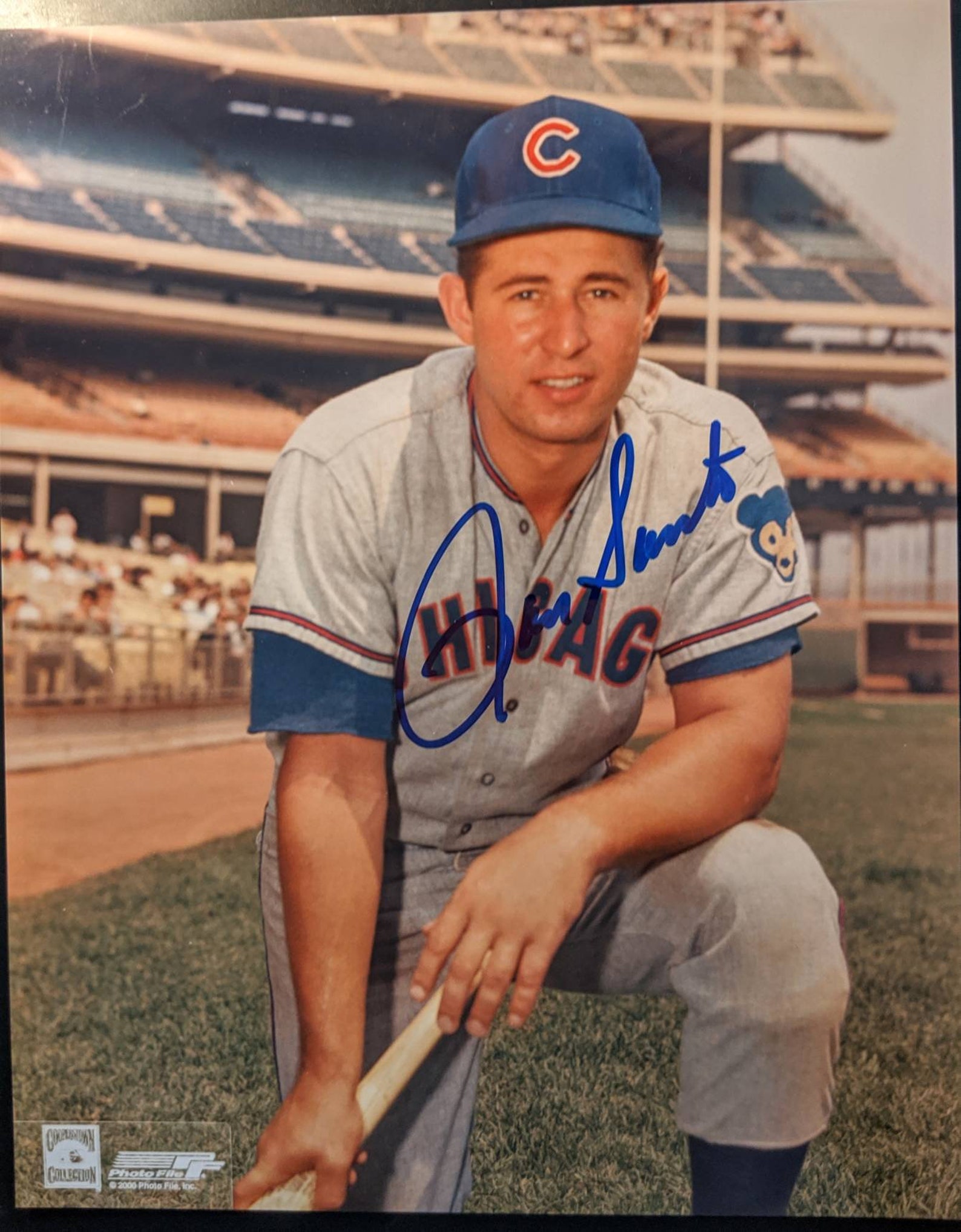 Ron Santo Vintage Autographed Major League Authentic Hall of | Etsy