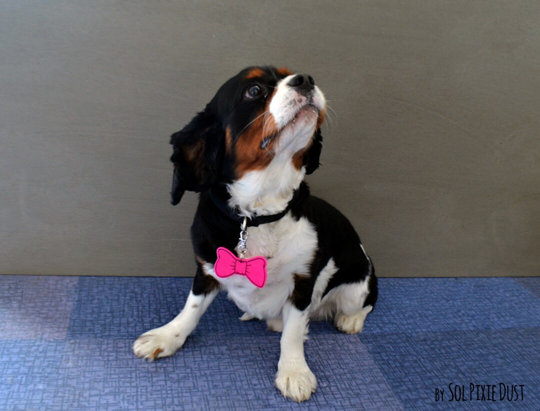 Bow Tie Dog Tag Personalized Pet ID, Pet Accessory - Etsy