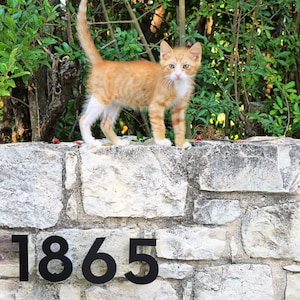 Modern House Numbers Letters - Red Acrylic - Mailbox Numbers - Home ...