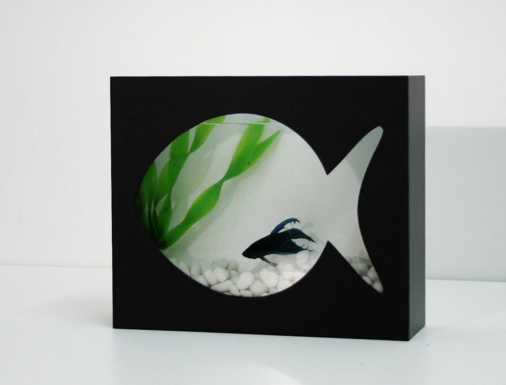 Modern Betta Fish Tank Aquarium - Desktop Aquarium or Wall Mounted Fish ...