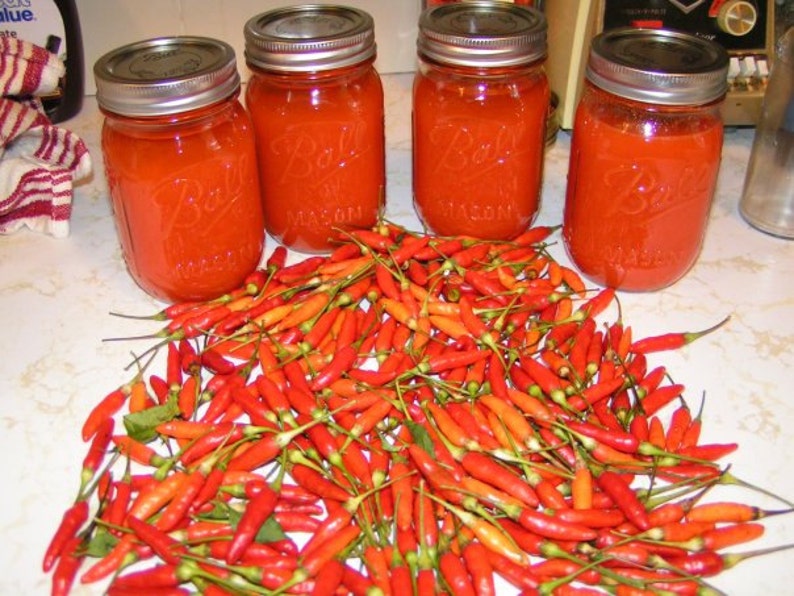 Florida Grove Pepper Seeds Super Hot Florida Firecracker Wild Grove ...