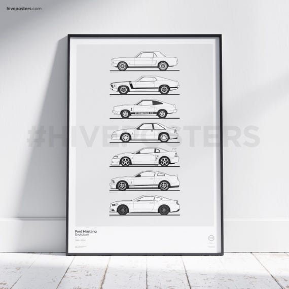 Evolution Mustang Body Styles