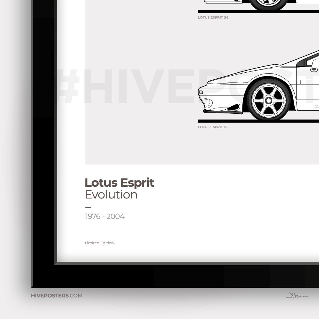 Lotus Esprit - Generations Evolution History Poster - Etsy