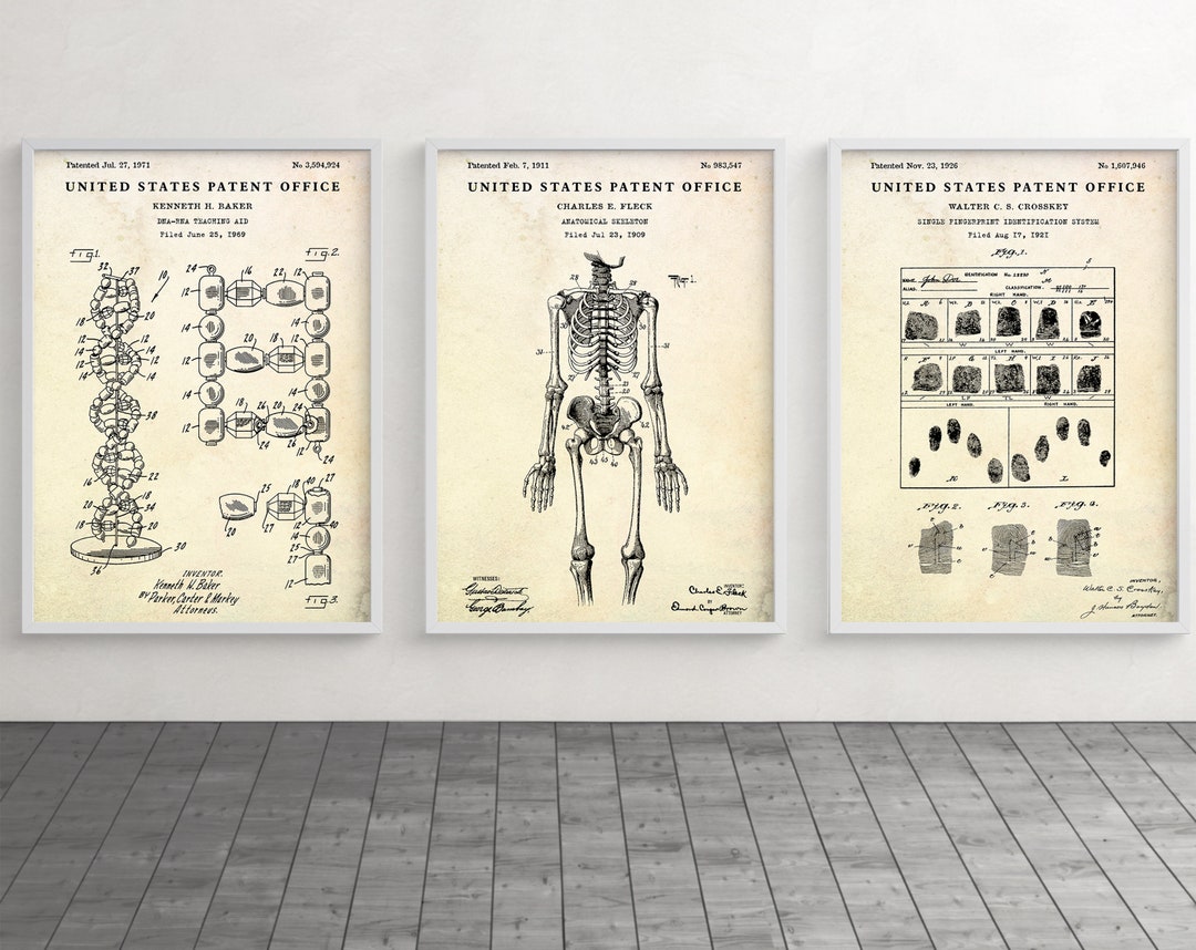 Forensic Science Decor: DNA, Skeleton & Fingerprints Patent Art ...