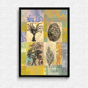 Botanical Wall Art, Neutral Poster, Nature Collage Sustainable Art Home ...