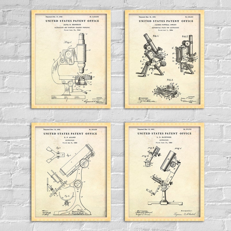 Microbiology Poster - Etsy