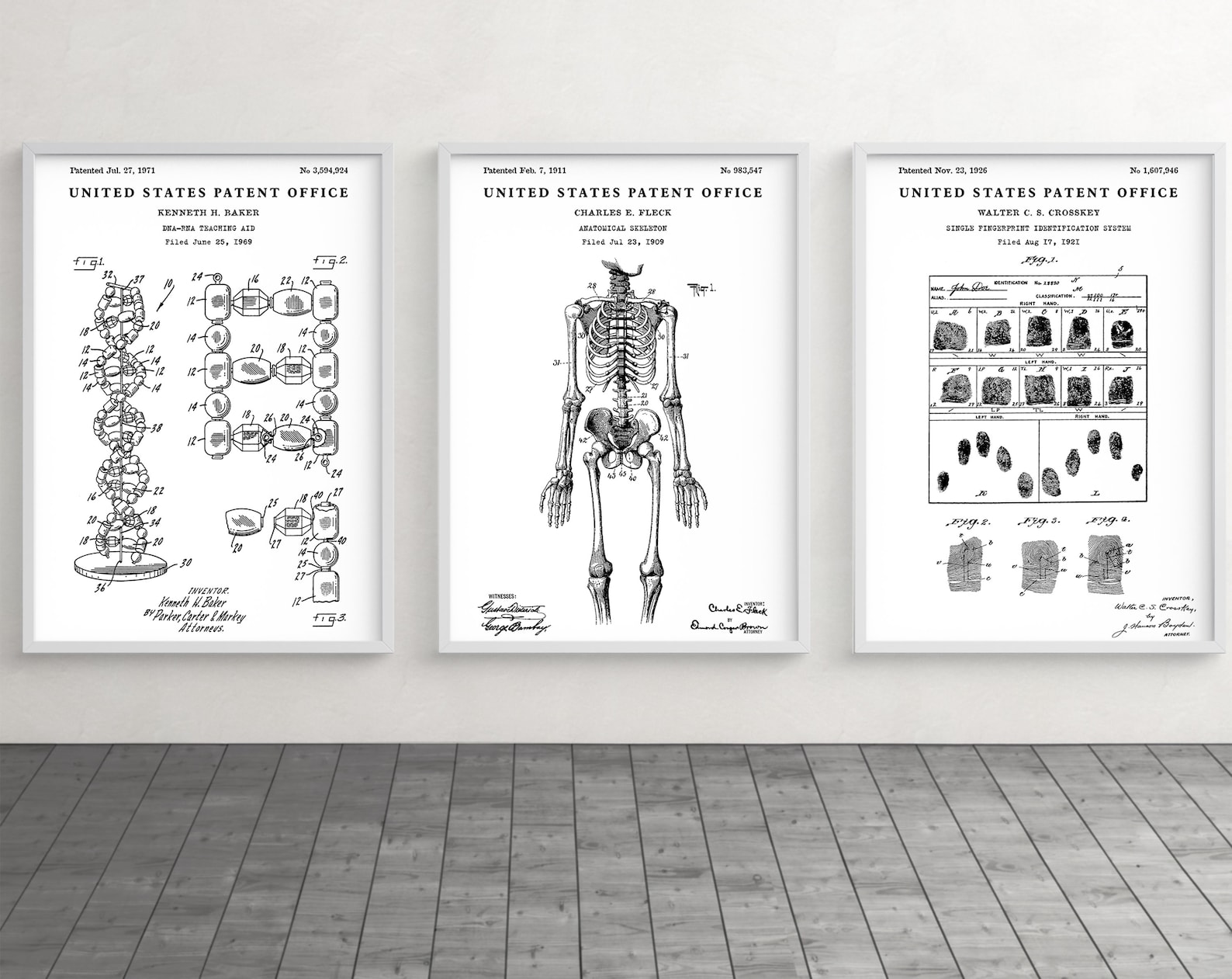 Forensic Science Decor: DNA, Skeleton & Fingerprints Patent Art ...