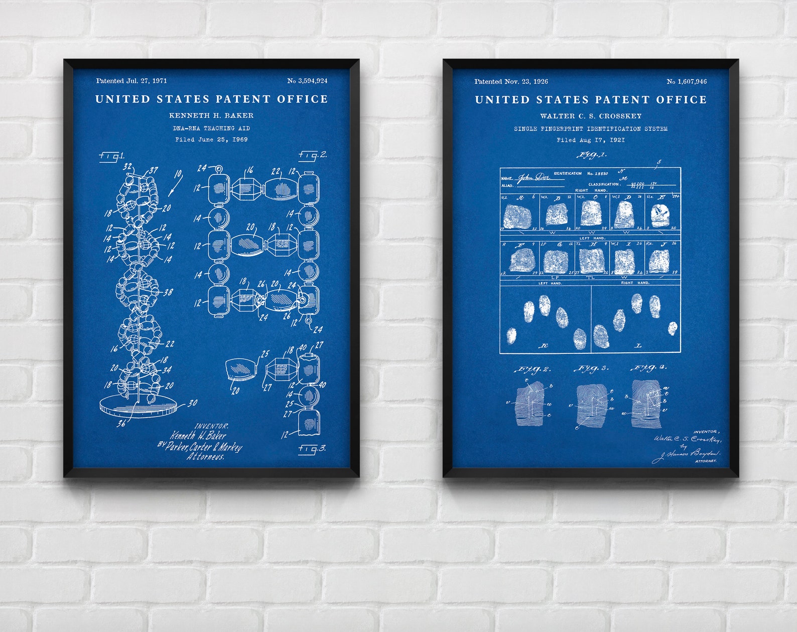 Forensic Science Wall Art: DNA RNA & Fingerprints Patent Print, Police ...