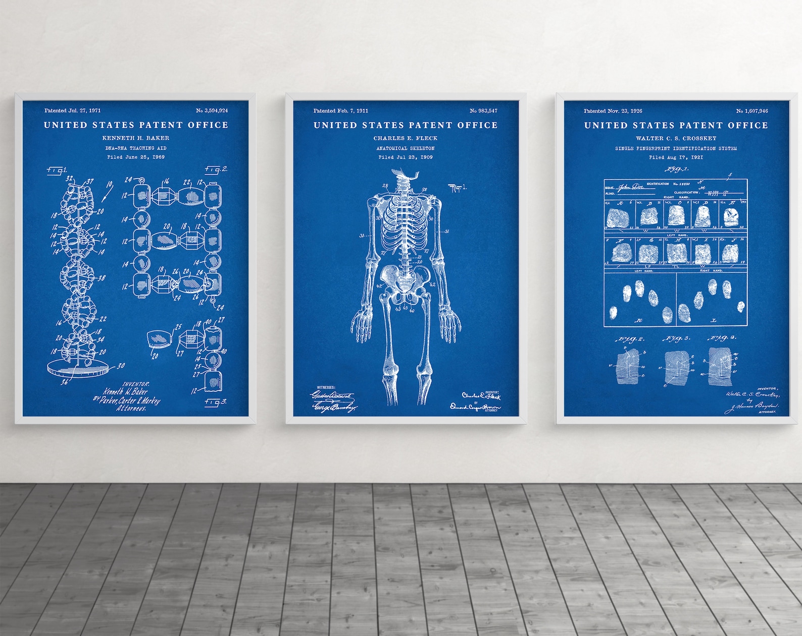 Forensic Science Decor: DNA, Skeleton & Fingerprints Patent Art ...
