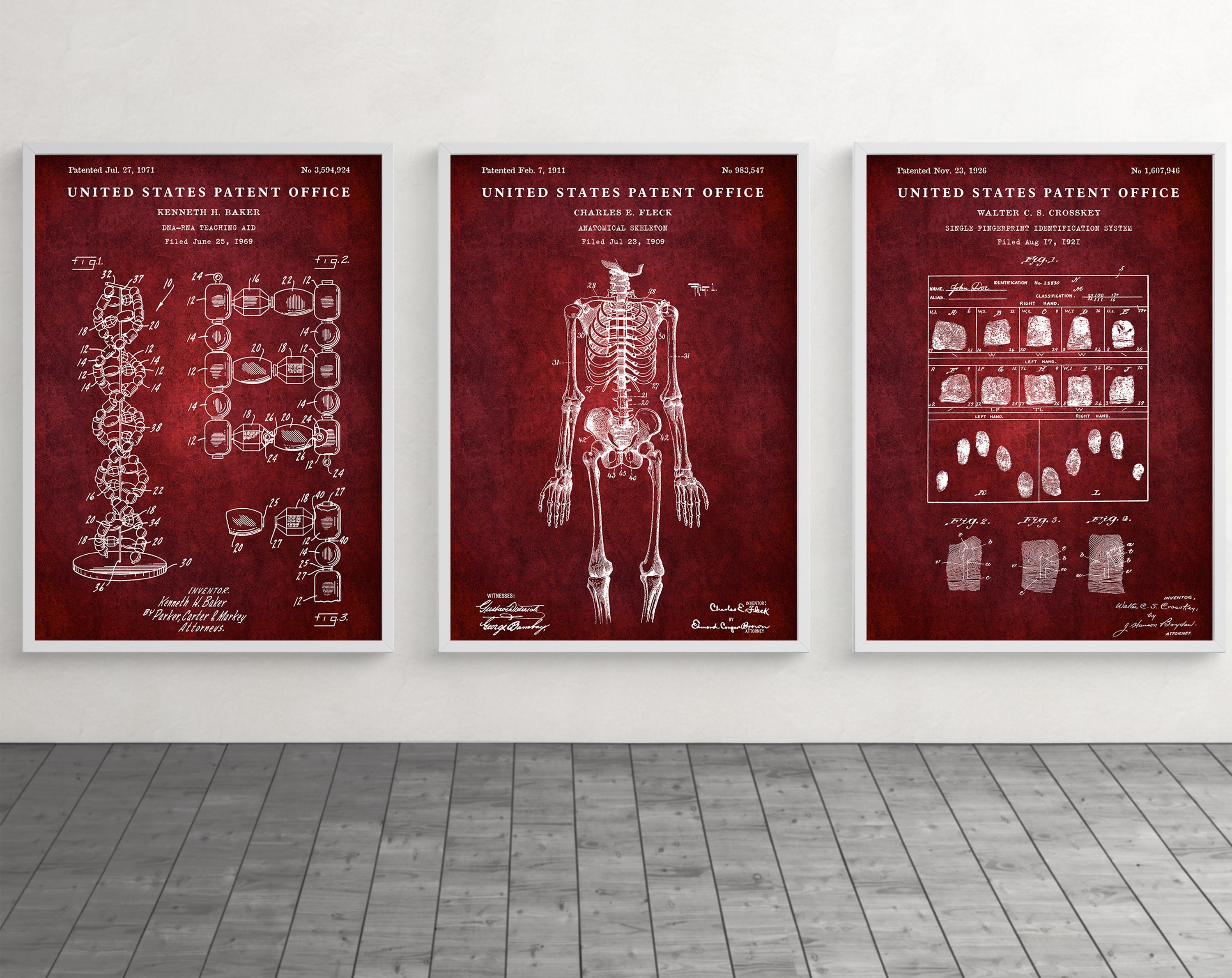 Forensic Science Decor: DNA, Skeleton & Fingerprints Patent Art ...