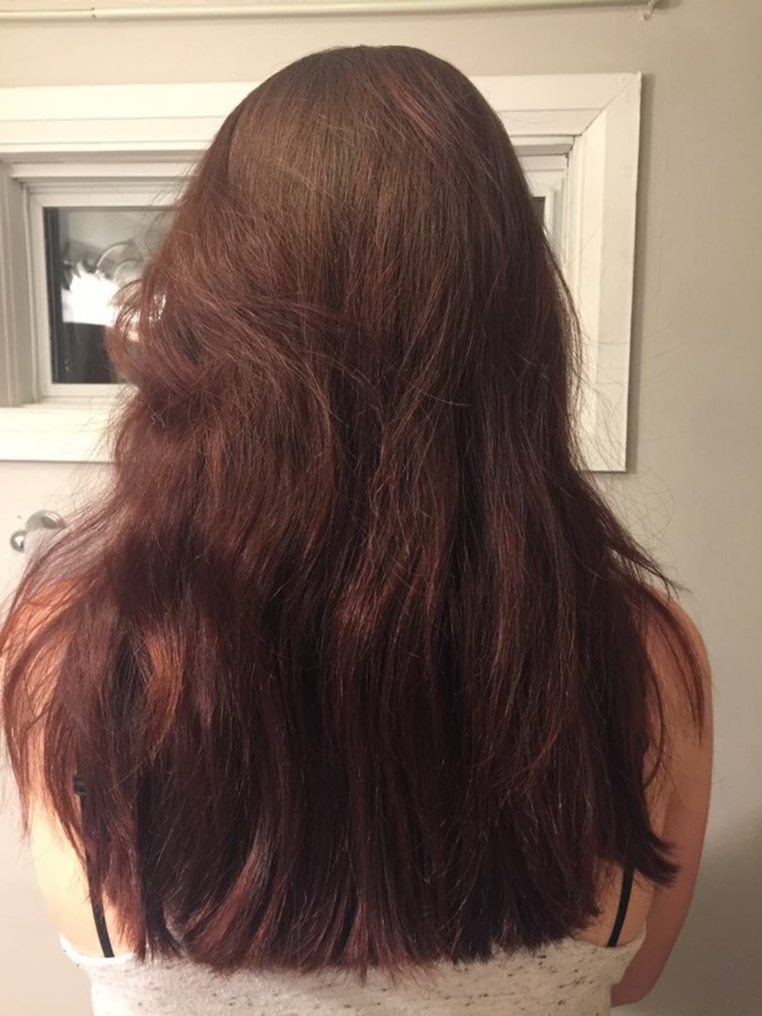 Amber Herbal Henna Powder Hair Dye 100g - Etsy