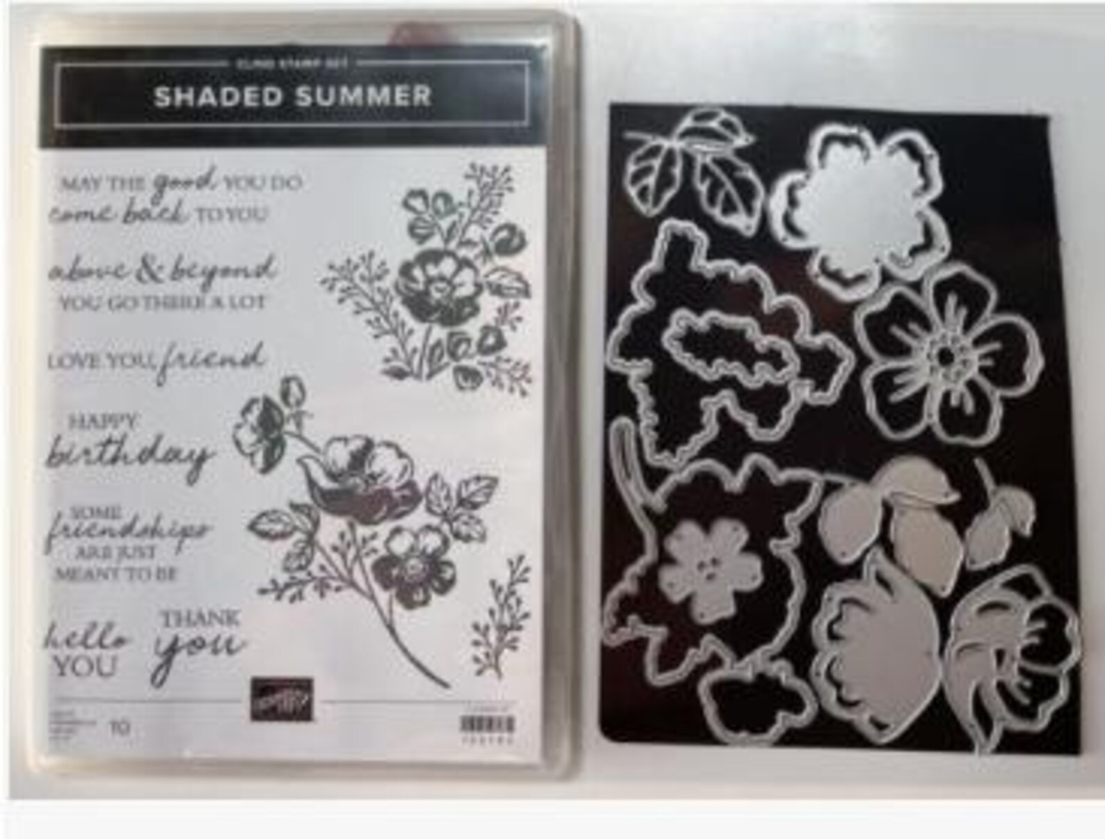 Stampin up Shaded Summer Stamp and Die Set - Etsy