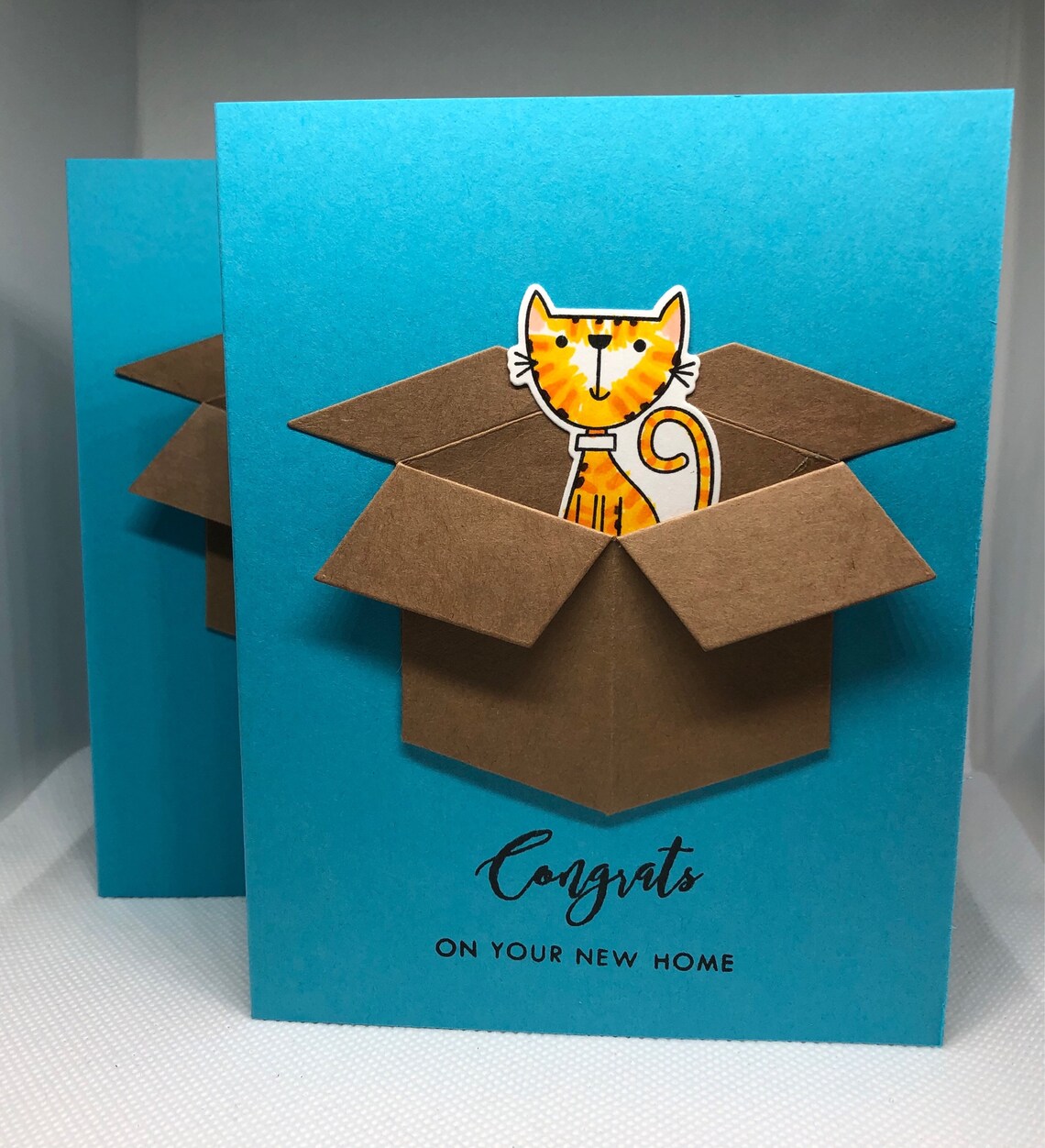 Congrats New Home Kitty Card Cat in a Box Card 2D Card New | Etsy