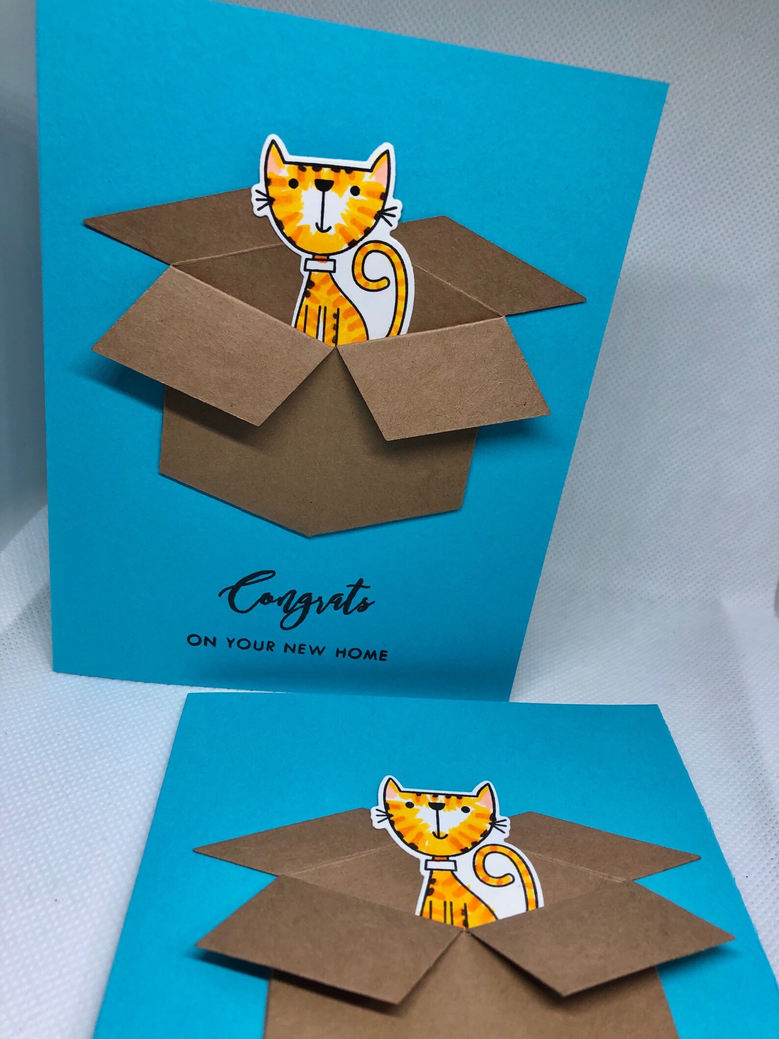 Congrats New Home Kitty Card Cat in a Box Card 2D Card New | Etsy