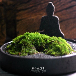 Copper / Brass Tray With Moss Living Hymolonᵀᴹ Fabric Base, Indoor ...