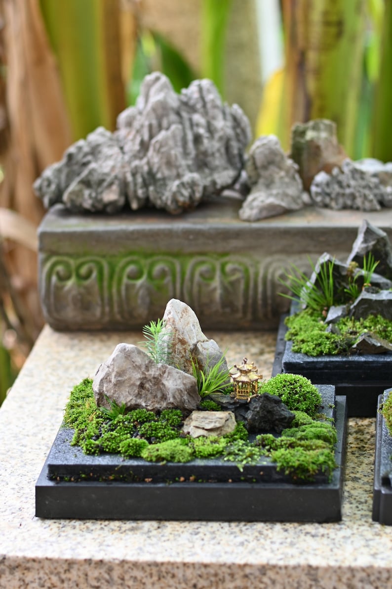 Moss Table Garden Kit: Hymolonbox Planter for Miniature Landscape - Etsy