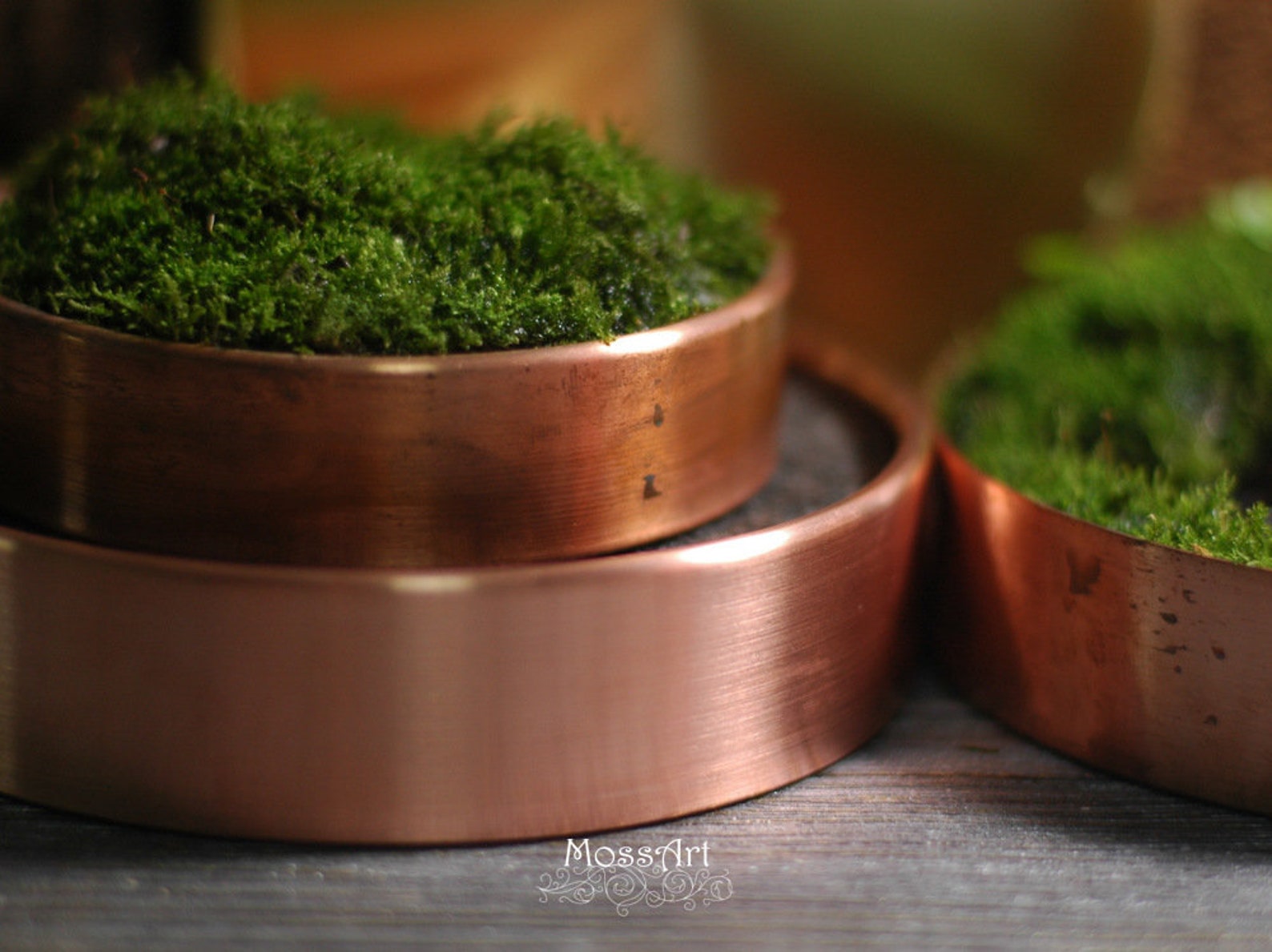Copper / Brass Tray With Moss Living Hymolonᵀᴹ Fabric Base, Indoor ...