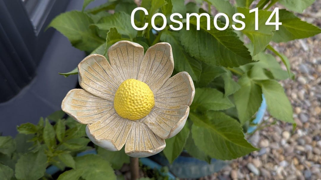Handmade Pottery Cosmos Cane Toppers – One-of-a-kind Garden Art - Etsy