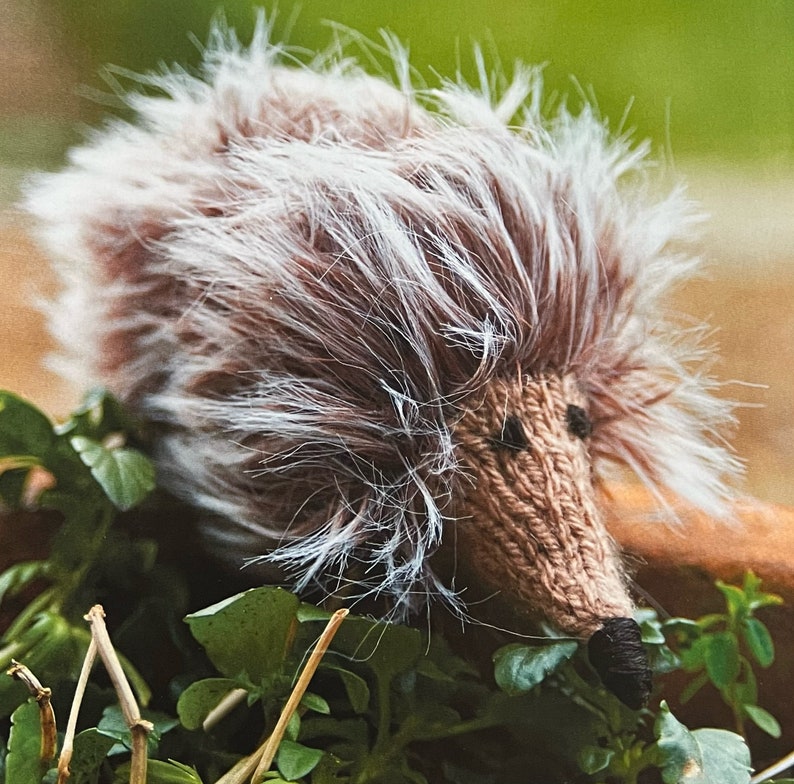 Knitted Hedgehog Pattern Create a Cute Fluffy Little Nocturnal Toy as a ...