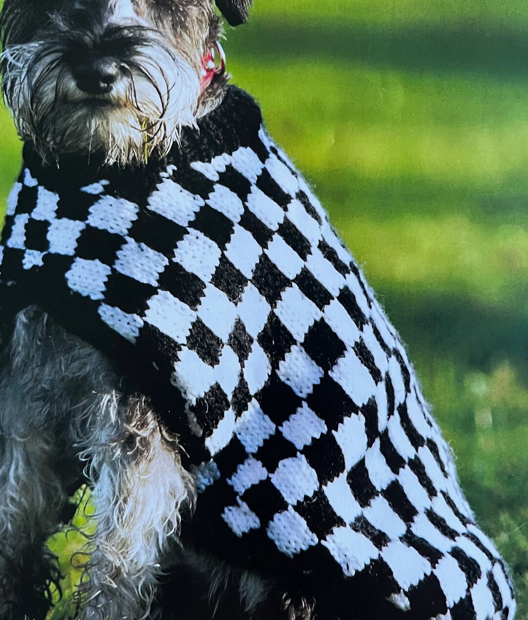 Cute Knitted Dog Coat Pattern for Small to Medium Dogs Knitting ...
