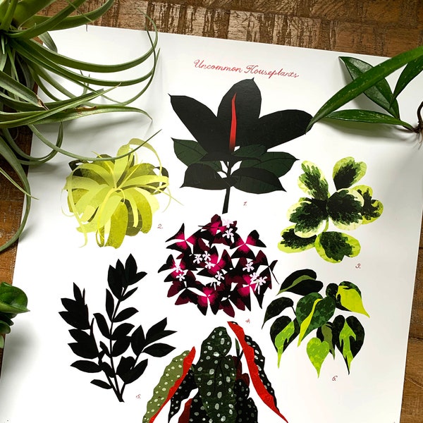 Houseplant Print - Etsy