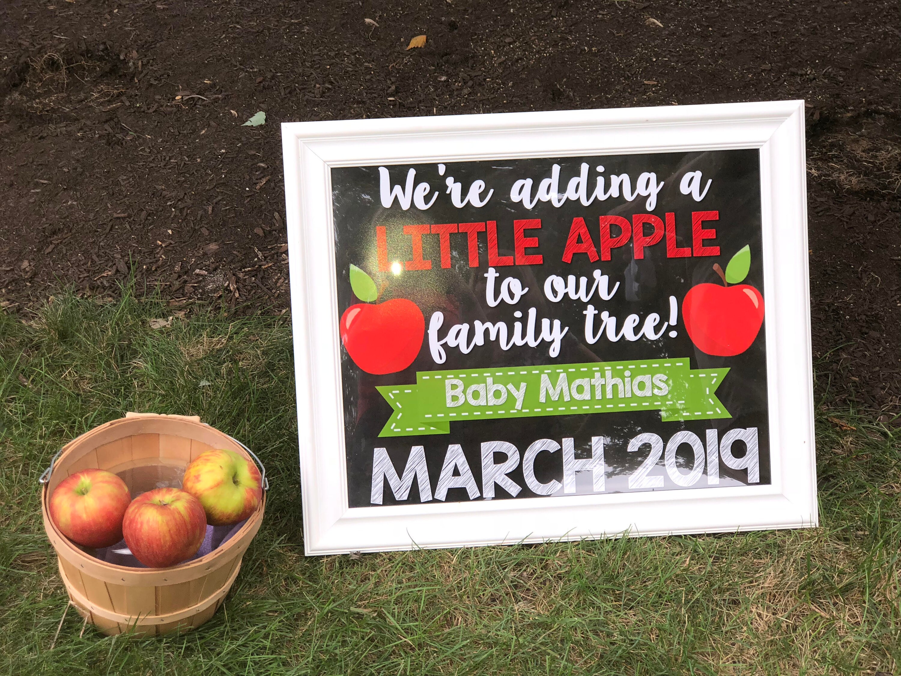 Fall Apple Pregnancy Announcement Sign / Adding a Little Apple to Our ...
