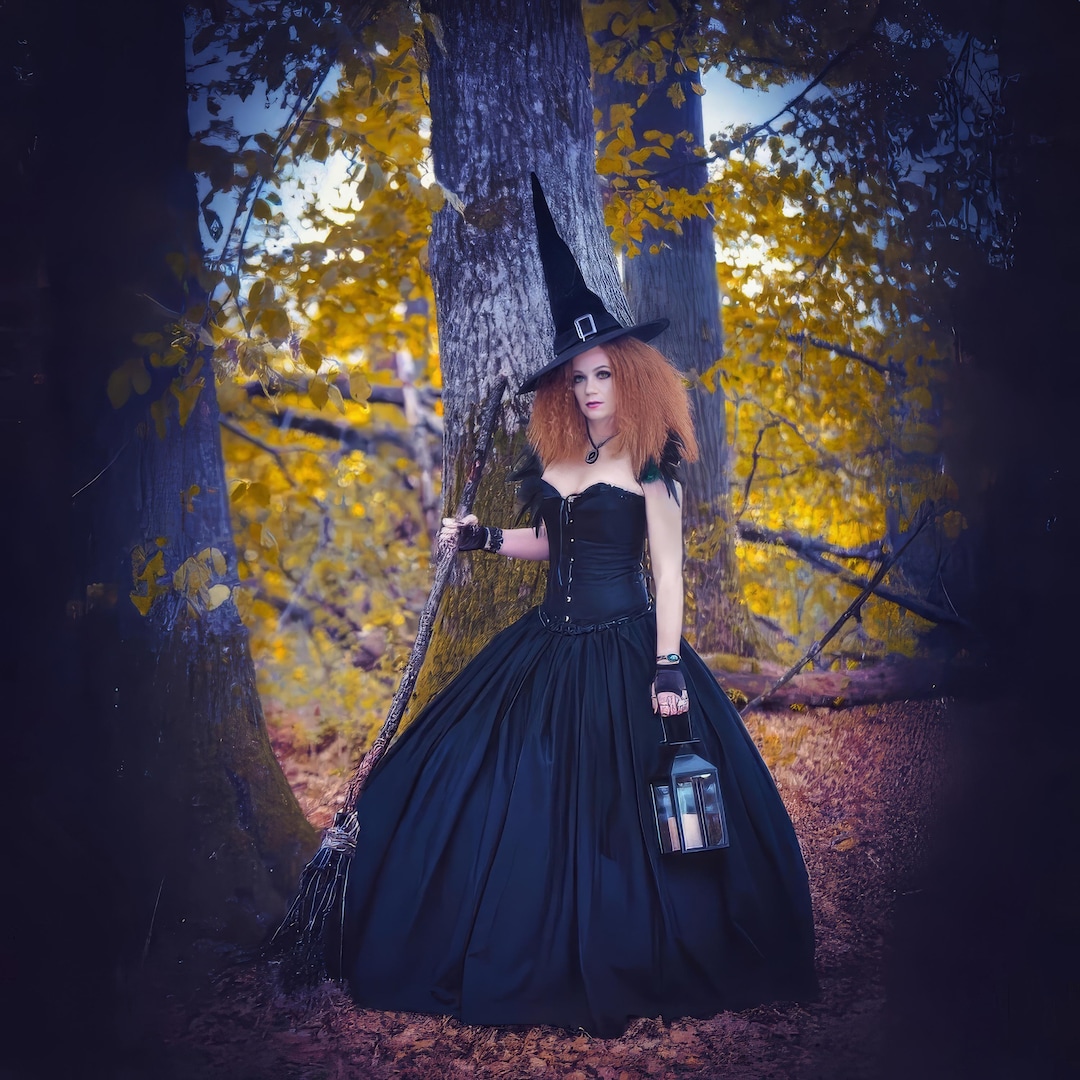 Women's Wizard of Oz Evil Witch Inspired Costume, Christmas, Villain ...