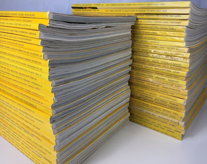 5 National Geographic Magazines Lot Random Pick 1990s - 2000s No ...