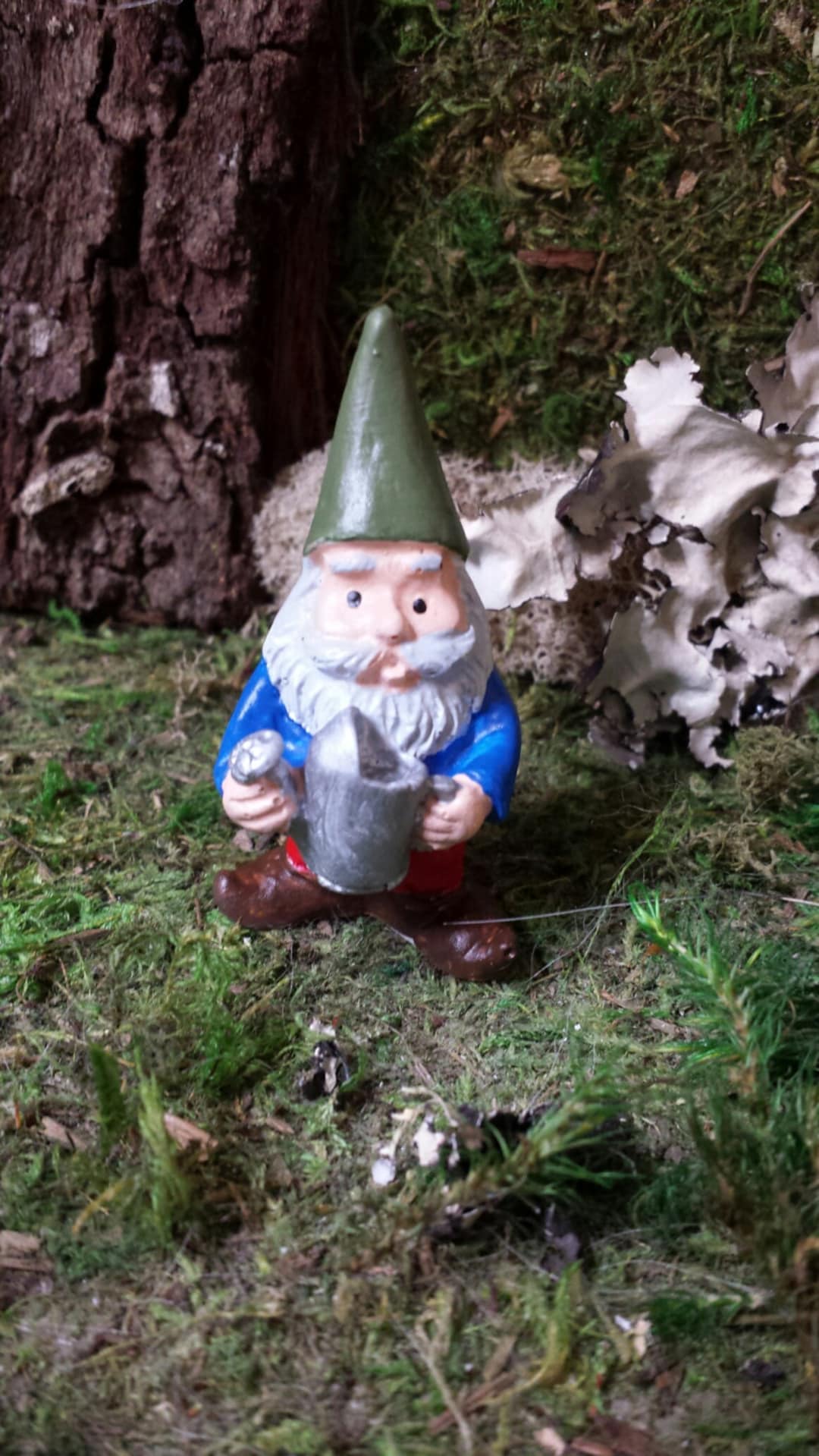 Gnome Statue,mini Garden Decor, Fairy Garden Gnome, for Fairy Gardens ...
