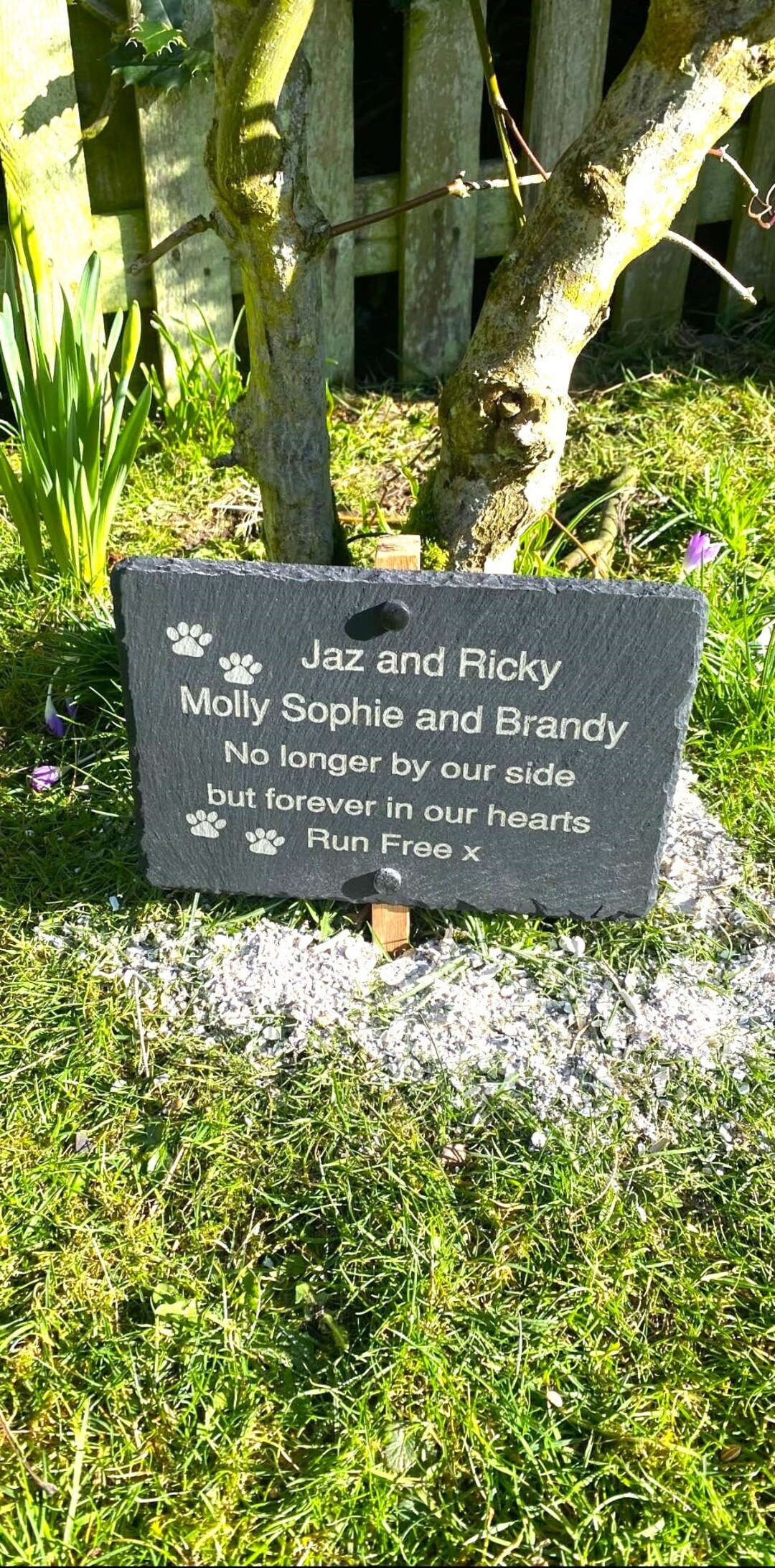 Cute Pet Memorial Grave Plot Marker and Oak Stake Option. We Will ...