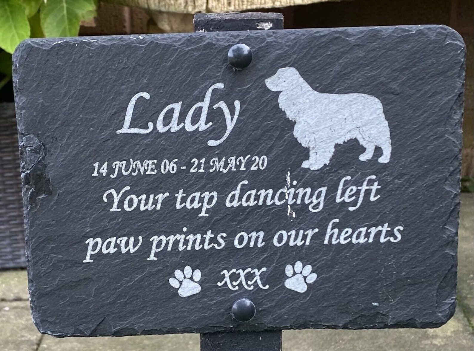 Pet Memorial Plaques: Remembrance Dogs, Cats, Rabbits, Birds, Guinea ...