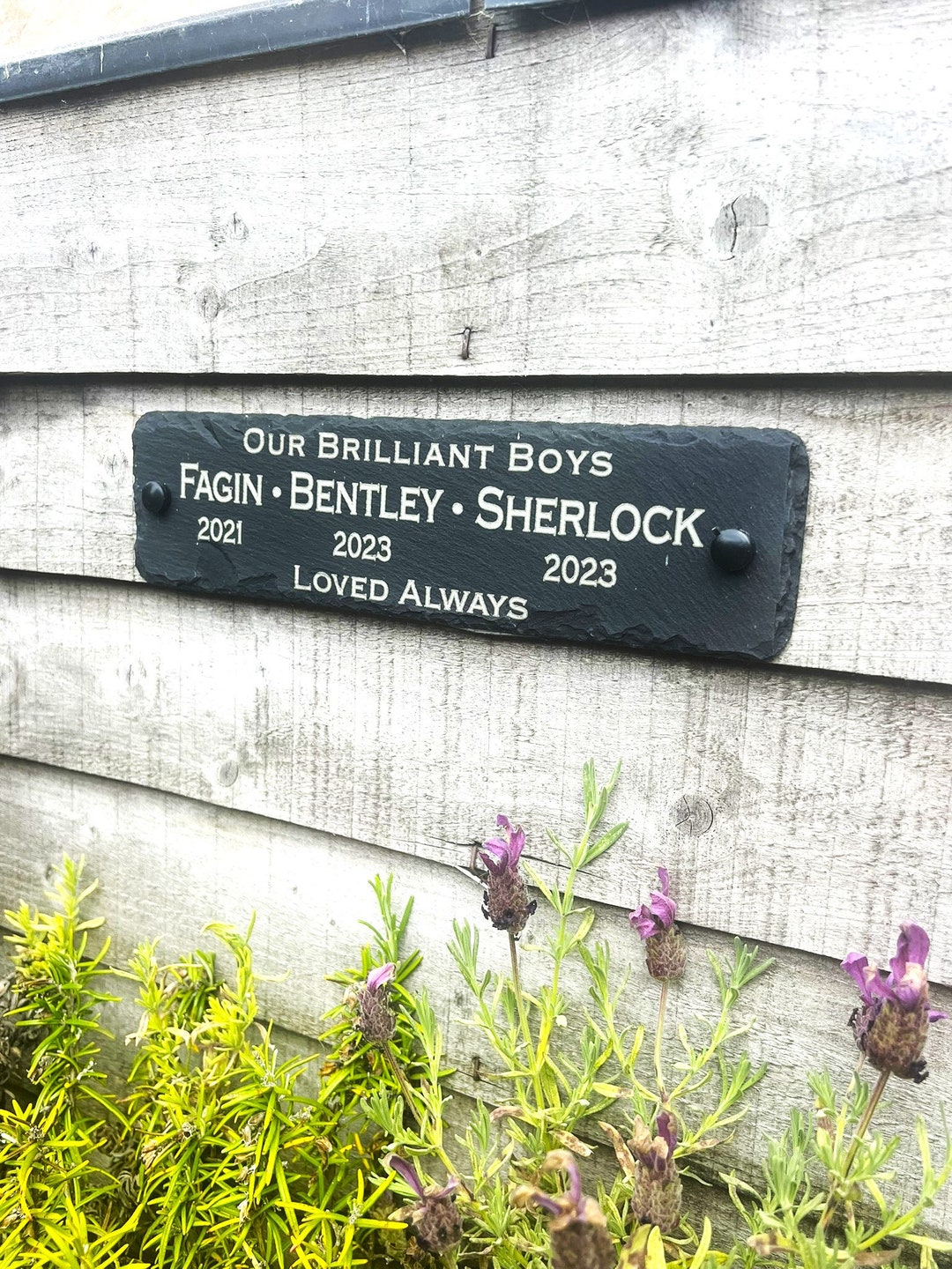 Plaques for Any Purpose, Fully Customised. Easy to Install, Comes With ...