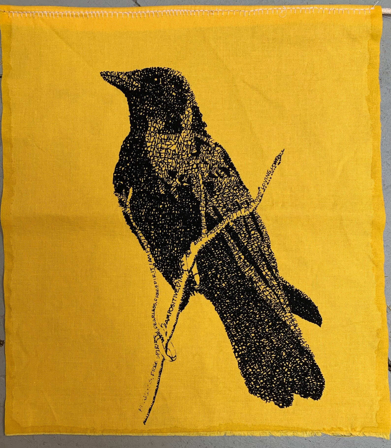 Primary Colored Calligraphic Crow Flags - String of 5 - Etsy