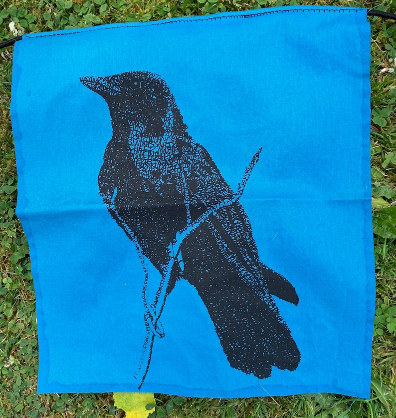 Full Bodied Calligraphic Crow Flags String of 5 Pastel - Etsy