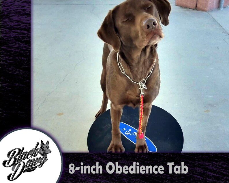 8-inch Paracord Dog Obedience Tab - Etsy