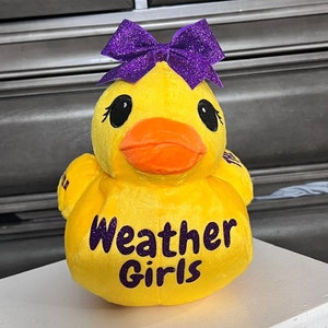Cheer Duck Plush Large Cheerleader Summit Good Luck Duck, Personalized ...