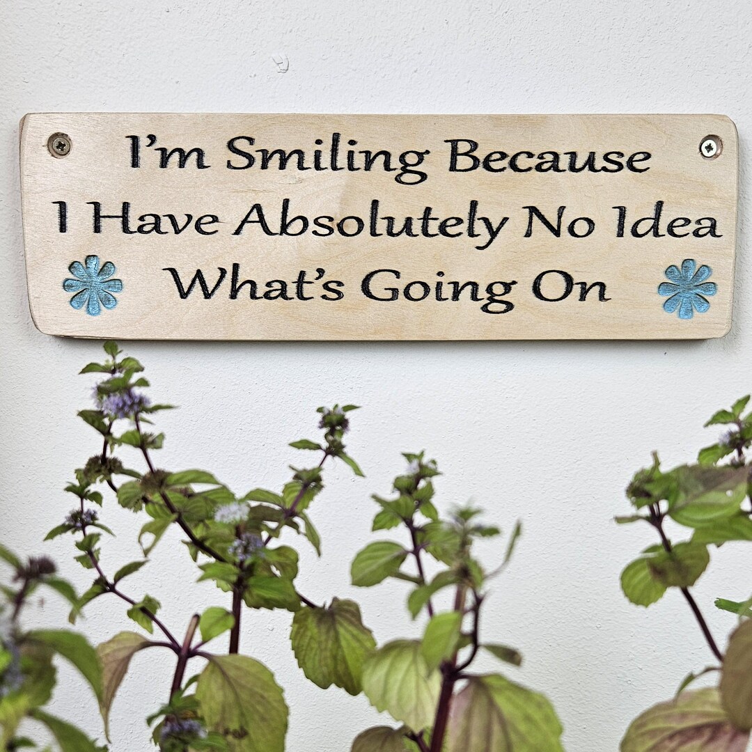 I'm Smiling Funny Quality Wooden Sign, Humorous Wood Hanging Wall ...