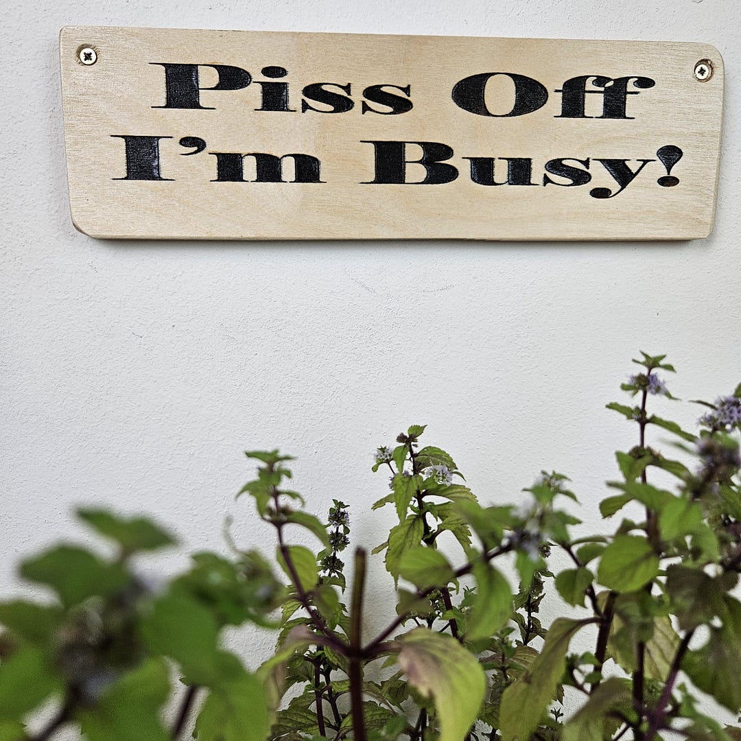 Piss off I'm Busy Quality Wooden Sign, Humorous Wood Hanging Wall ...