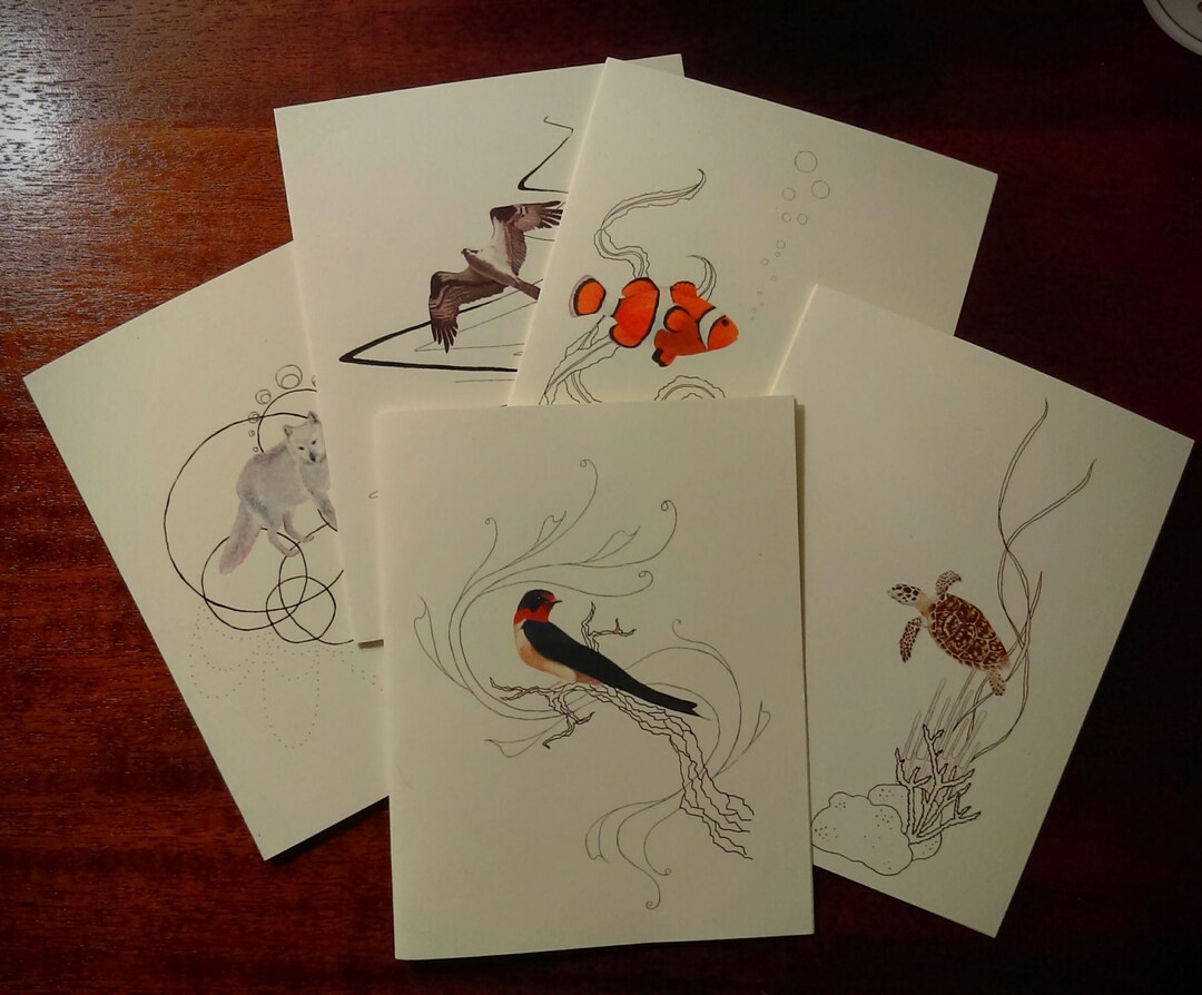 Biodiversity Cards: Climate Action, Set of 5 - Etsy