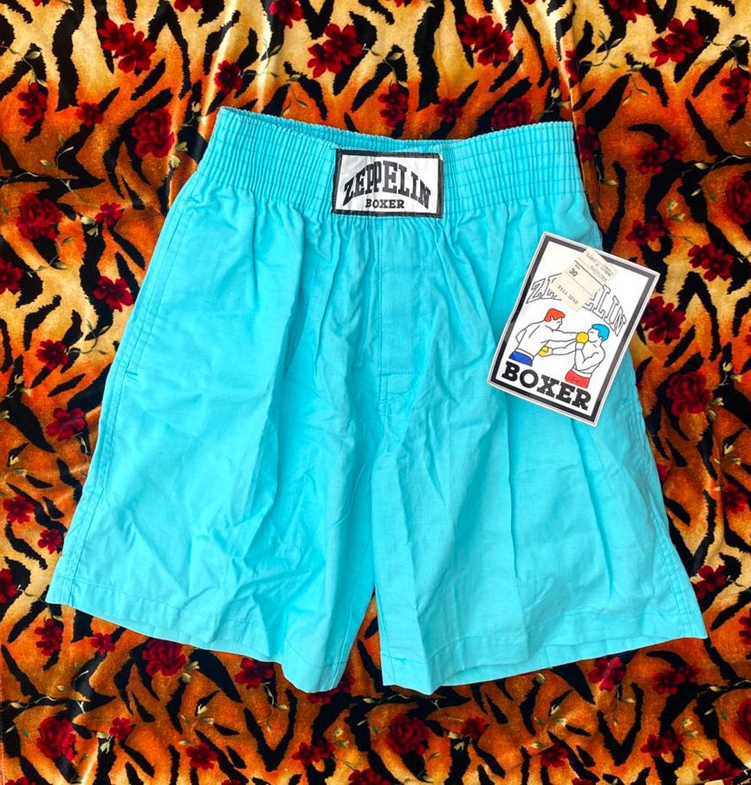 1990s Deadstock "zeppelin Boxer" Boxing Shorts Size Small/medium 30 in ...
