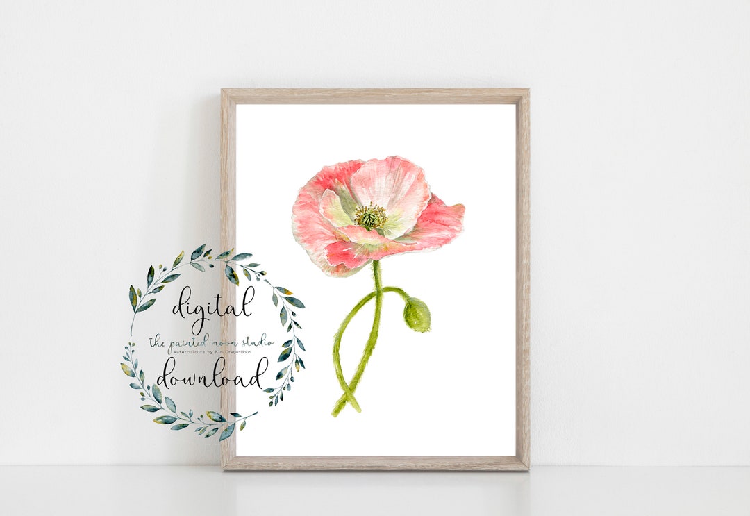 Pink Poppy Digital Download Watercolor Art - Etsy