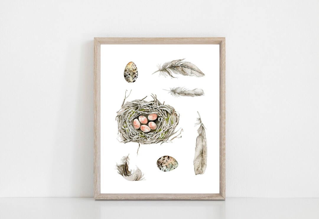 Bird Nest Feathers Watercolor Collage Art Print - Etsy