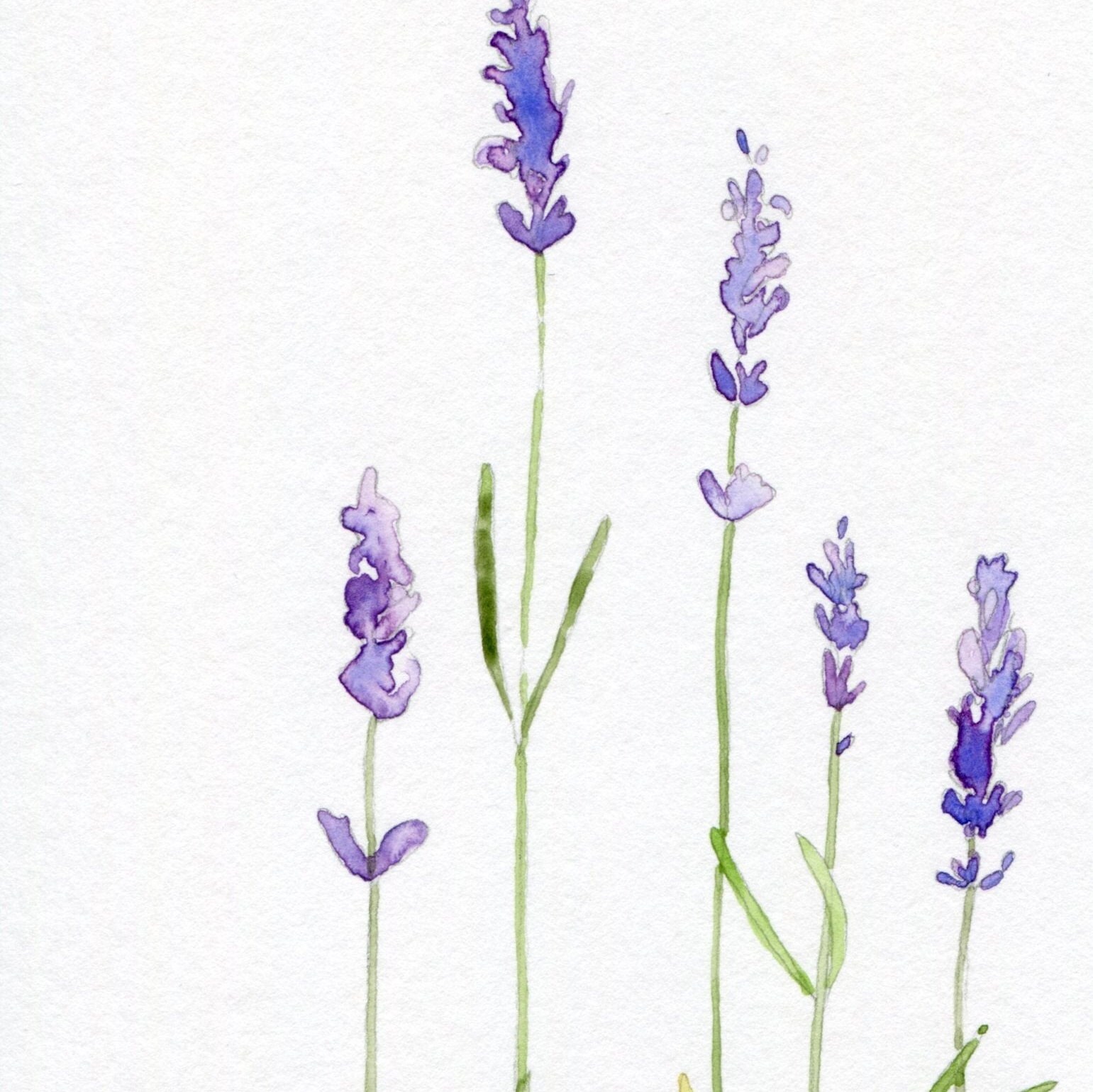 Purple Lavender Watercolor Art Print Floral Wall Art | Etsy Canada