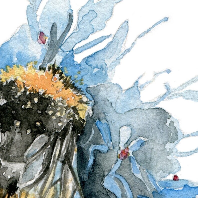 Bumble Bee and Flower Watercolor Art Print | Etsy