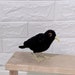 Mini Blackbird Pattern Amigurumi Bird Animals Crochet - Etsy