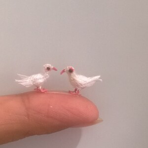 Mini White Dove Pattern, Miniature Amigurumi, Animals Crochet - PDF ...
