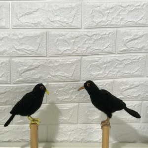 Mini Blackbird Pattern, Amigurumi Bird, Animals Crochet, Crochet Bird ...