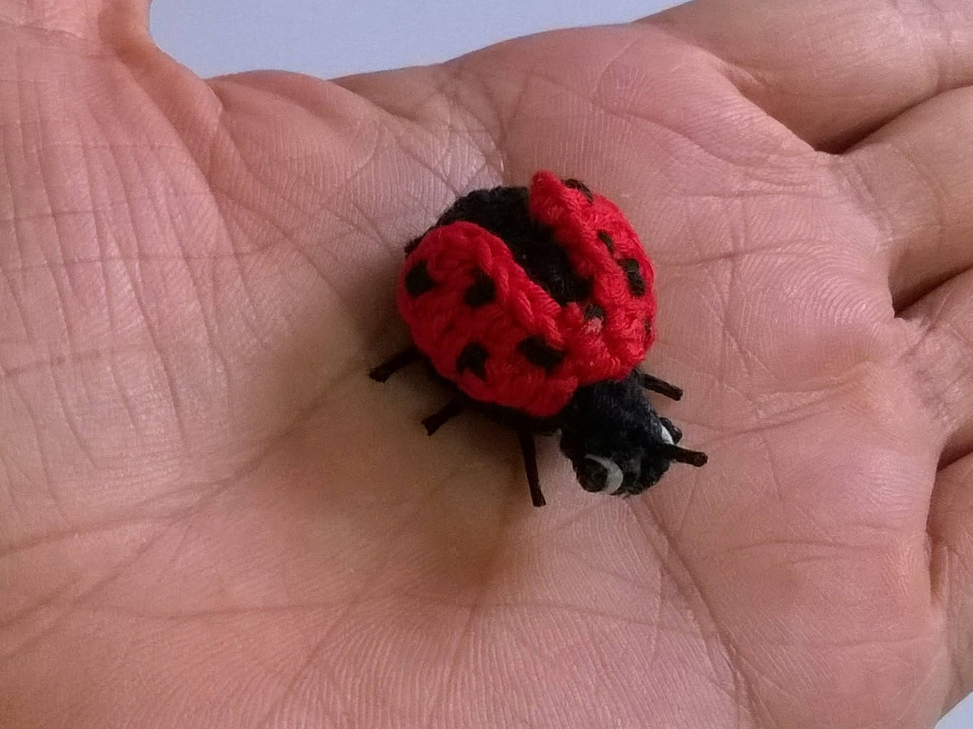Mini Ladybug Pattern, Miniature Amigurumi, Animals Crochet - PDF ...